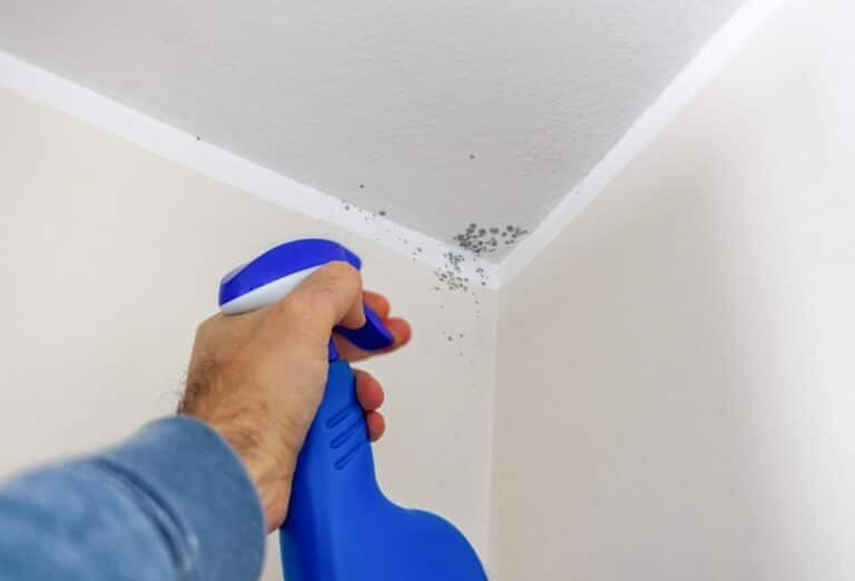 Što je varikina? 9 savjeta za bolje razumijevanje